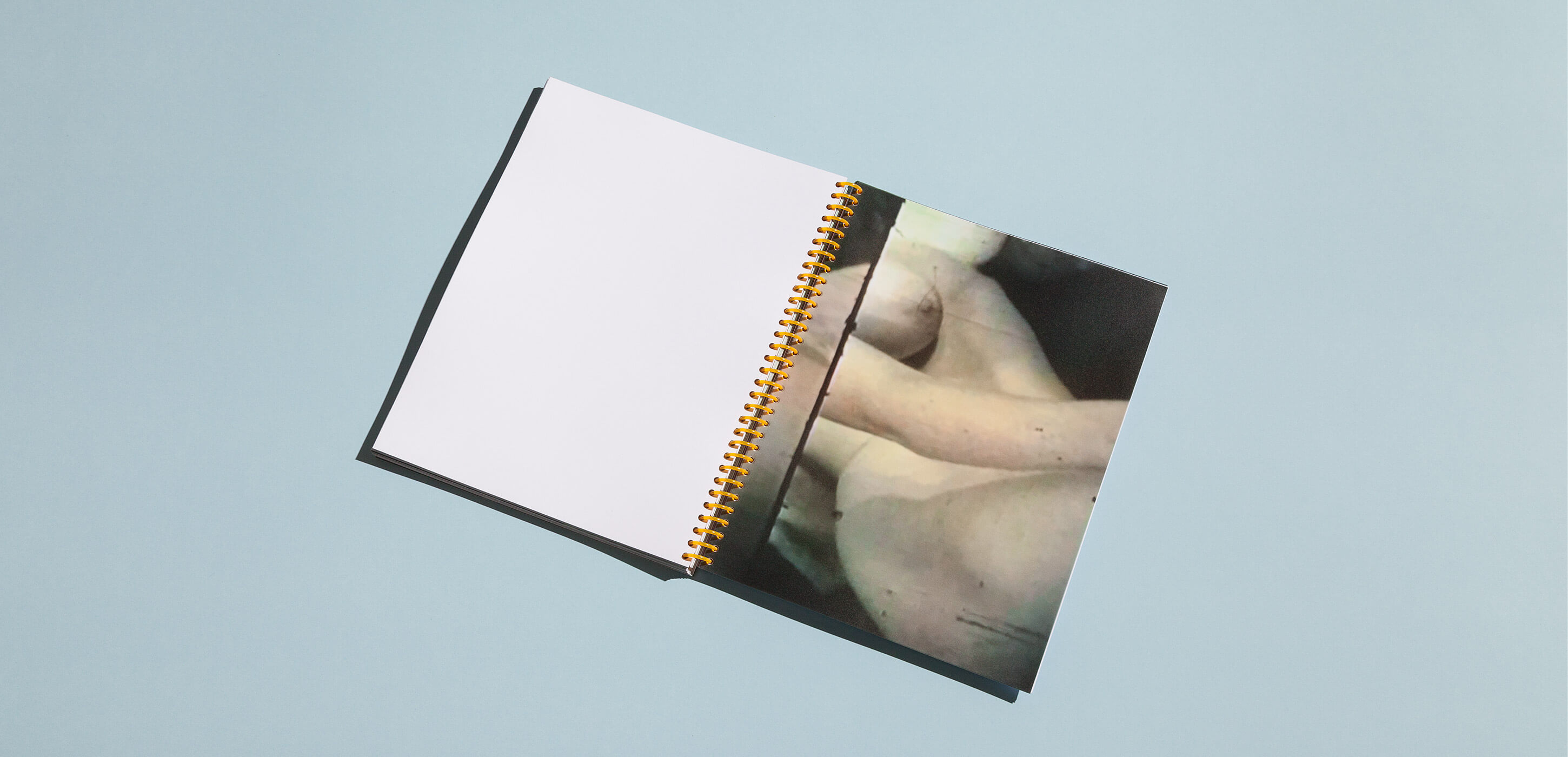 41.667 - Siam's Guy Books