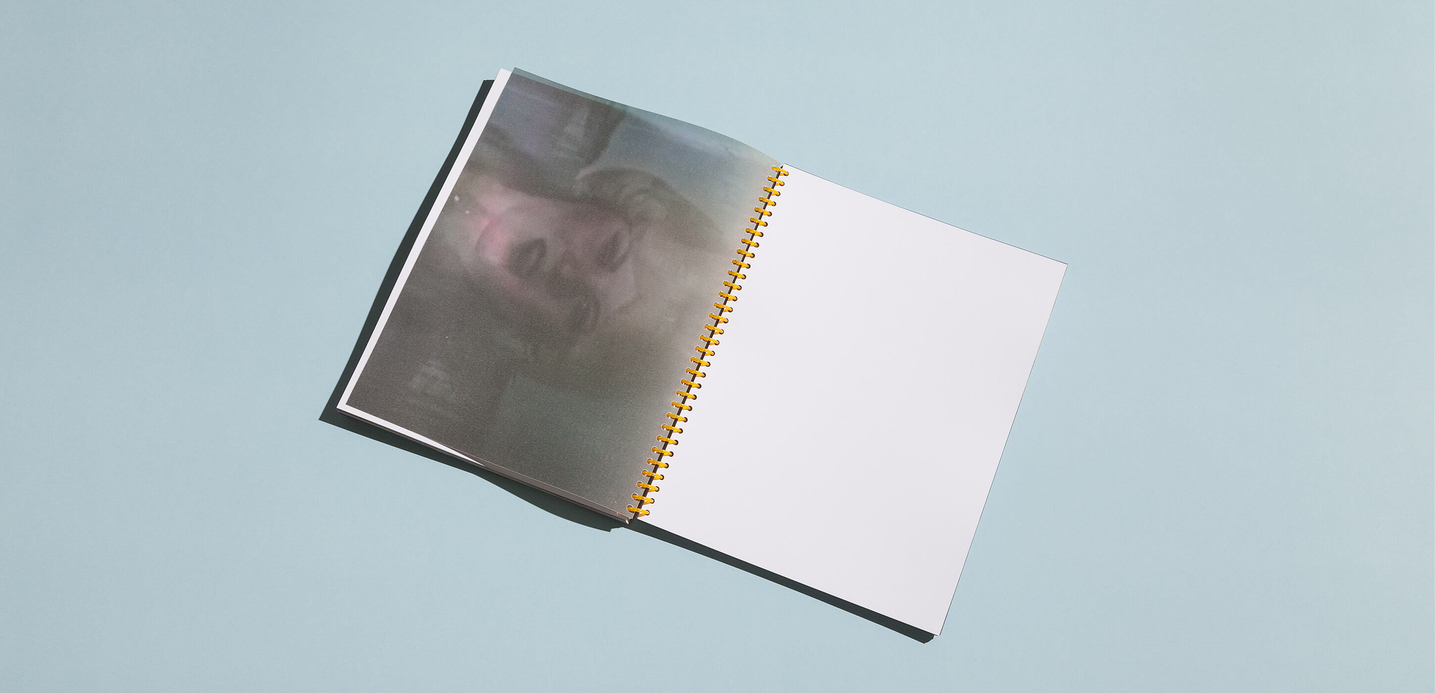 41.667 - Siam's Guy Books